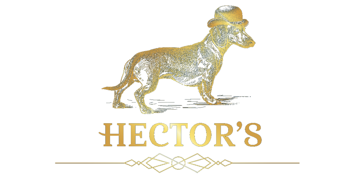 Mens' Shirts | Formal & Casual | Menswear at Hector's Clothing – Hector ...
